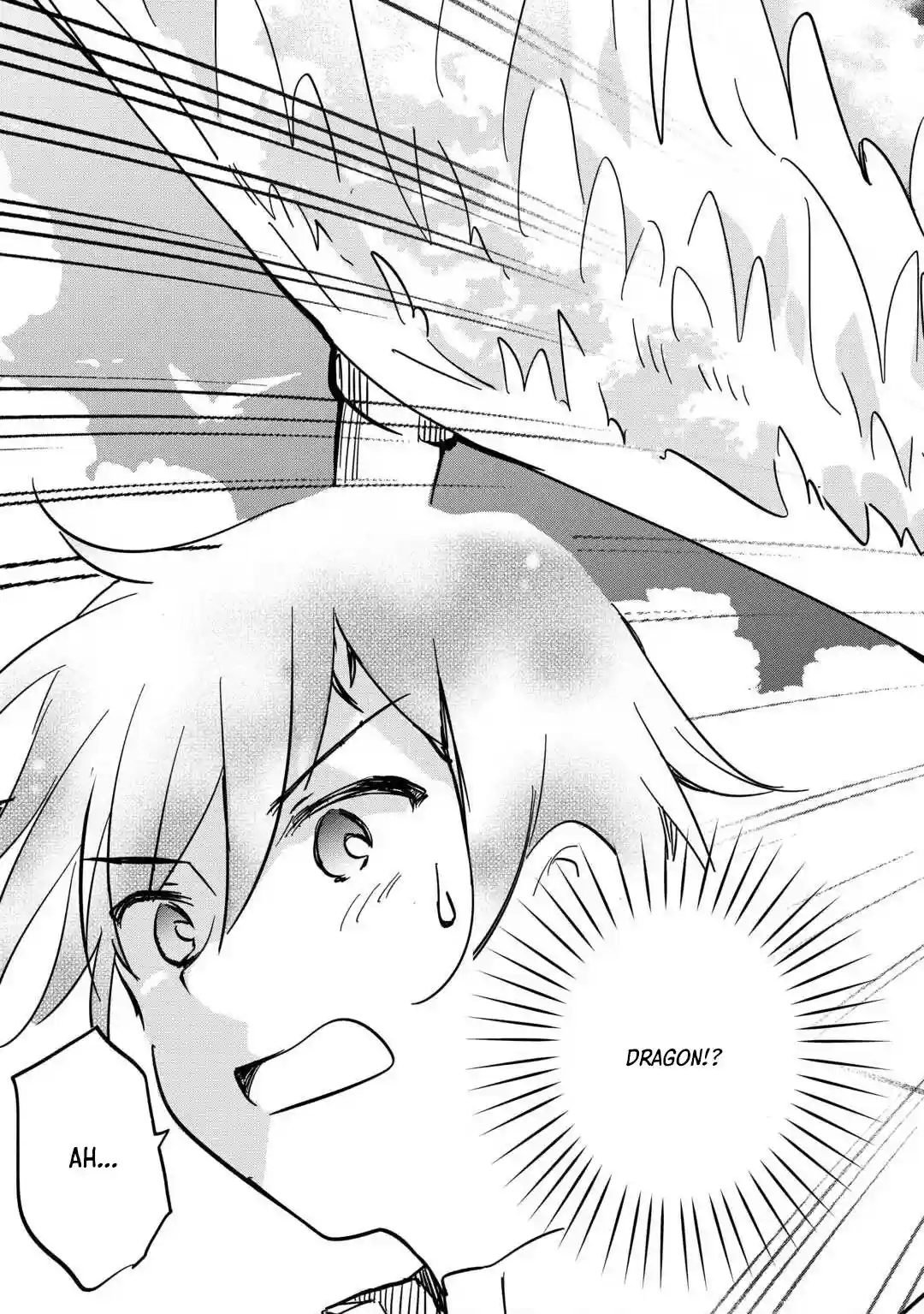 Tokage (Hontou wa Shinryuu) wo Shoukan Shita Seijuu Tsukai, Ryuu no ...